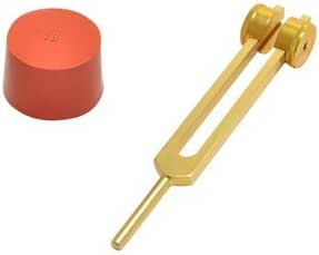 TFS Tuningforkshop Gold Finish 432 Hz Tuning Fork Weighted : Amazon.ca ...