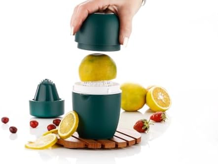 Buy RITU Rapid Portable Juicer Machine for Home | Manual Hand Juicer ...