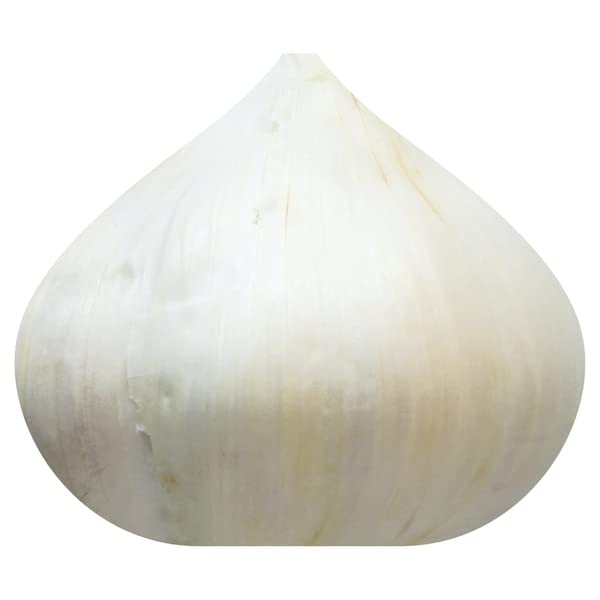Amazon.com: Garlic Super Colossal : Grocery & Gourmet Food