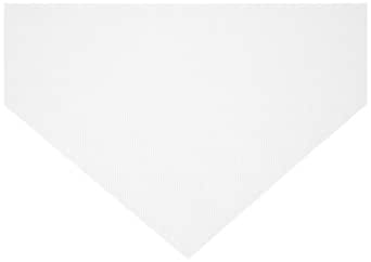 Nylon Mesh Lab Pak, 1 Micron Opening, 12" x 12", (Pack of 6) : Amazon ...