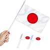 Amazon.com : Anley Japan Mini Flag 12 Pack - Hand Held Small Miniature ...