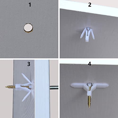 40 Sets of Drywall Anchors,Expansion Plugs and Screws for the ...