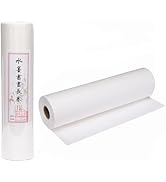 Amazon.com: MEGREZ Chinese Calligraphy Xuan Paper Brush Writing Sumi ...