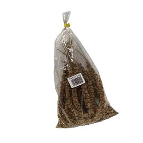 ¿Qué es el panizo y cómo beneficia a las aves? - Mi Hogar