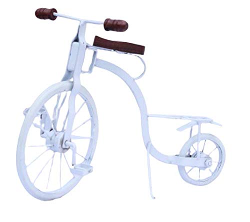 Shop Till You Drop Decorative Cycle Wood and Iron Small Cycle for ...