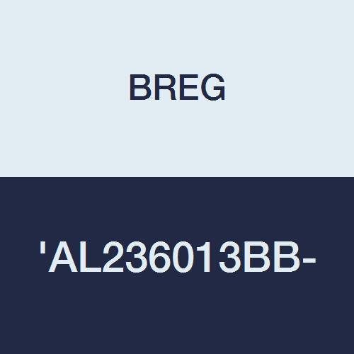 Amazon.com: BREG 'AL236013BB- Achilles Boot with Air, S : Health ...