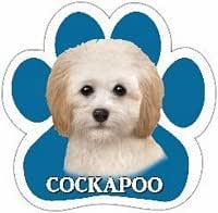 Amazon.com: Cockapoo Paw Shaped Car Magnet : Home & Kitchen
