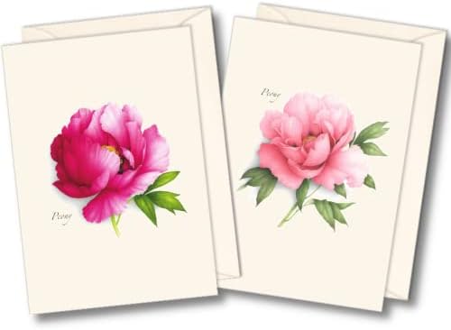 Amazon.com : Earth Sky + Water - Peony Assortment Notecard Set - 8 ...
