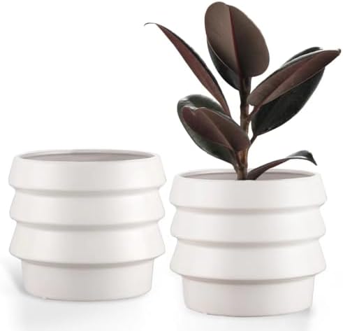 Amazon.com: FUYHE Ceramic Plant Pots,White Ceramic Planters for Indoor ...