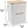Amazon.com: Gdfjiy Flour Container Metal Flour Tin, Flour Storage ...
