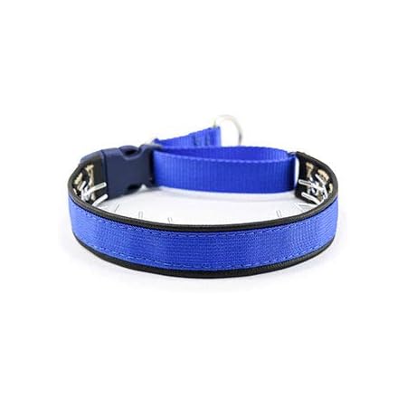 Amazon.com : 1" Wide Keeper Collar Hidden Prong with snap - Pink (14 ...