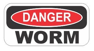 (3) Danger worm funny hard hat / helmet stickers : Amazon.in ...