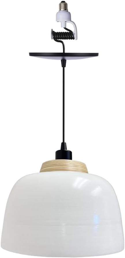 Worth Home Products- Instant Pendant Light - Spun Bamboo w/Brushed ...