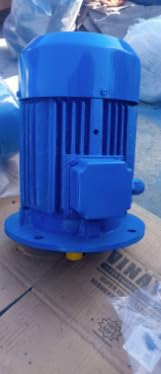 3 hp 960 rpm 6 pole 3 phase flange mounted motor : Amazon.in ...