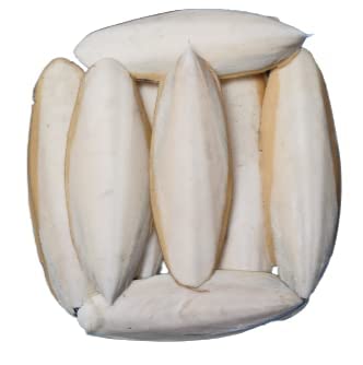 Buy AquaNature Cuttle Fish Bone Calcium Bone for All Birds & Turtle ...