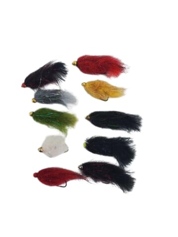 Amazon.com: Balanced Leech Fly Collection Set of 10 Fles Different ...