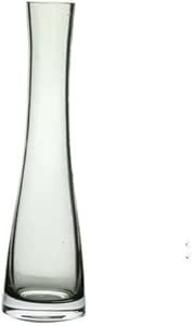 Amazon.com: SHUILING Hand-Made Blown Glass Bud Vase, Clear Small Vases for Flowers, Decorative ...