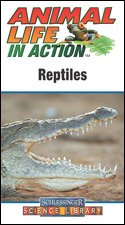Animal Life in Action : REPTILES: unknown author: Amazon.com: Books