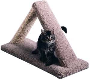 Amazon.com : Cat Scratch Triangle : Color Natural : Size 16 INCHES ...