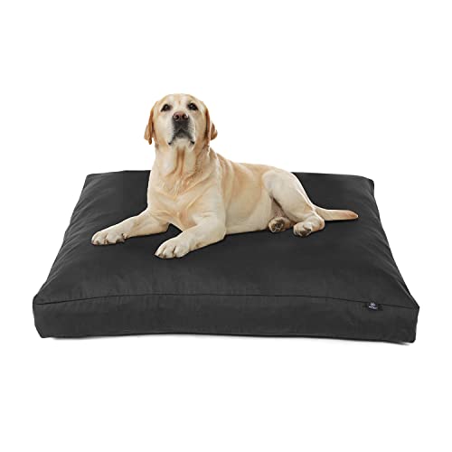 Tough Dog Bed – The 15 best products compared - Wild Explained