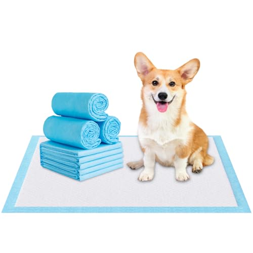 Pee Pads for Cats – The 15 best products compared - Wild Explained