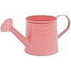 Small Metal Watering Can, Indoor Outdoor Metal Watering Can with Long ...