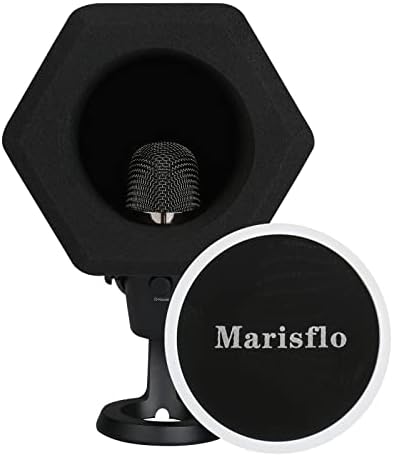 Amazon.com: Professional Microphone Isolation Ball with 2-Layered Pop ...