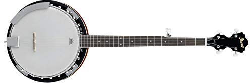 Ibanez B200 Banjo Review