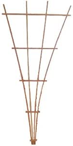 Amazon.com : Heartland Home & Garden 87570 Wood Fan Trellis, 21 x 90 ...