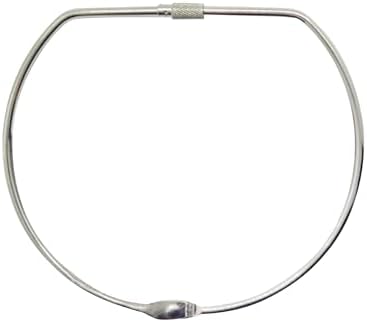 Amazon.com : 5 Inch Extra Large Key Ring:D-Shaped Binder Rings Easy ...