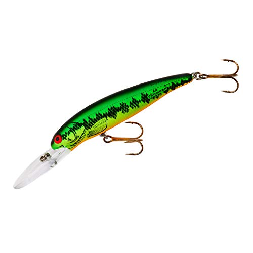 10 Best Jerkbait Lures For Bass + Buying Guide – All Fishing Gear