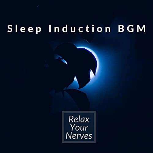 Sleep Induction BGM -Relax Your Nerves- de Sleep Music α en Amazon ...