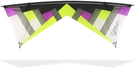 Amazon.com: Revolution Kites New York Minute Quad Line Sport Wing Kite ...