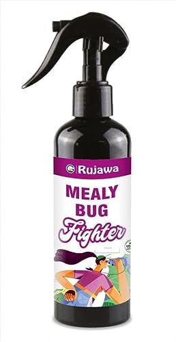 Gio Root Mealy Bug Insant Hit Spray, Premium Essential Super Powerful ...