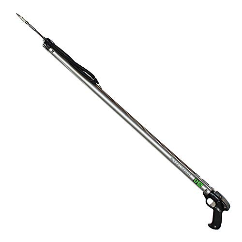 9 Best Spearguns for Spearfishing 2022 - Fishmasters.com