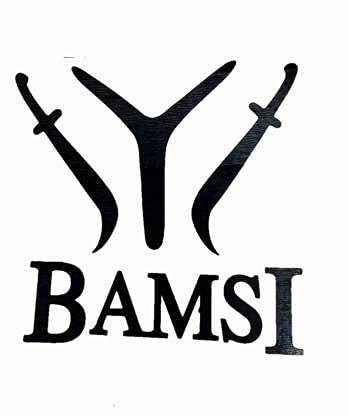 TO-HiT BAMSI Radium Sticker for CAR and Bike : Amazon.in: Car & Motorbike