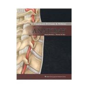 Essential Clinical Anatomy, 3rd Ed + Lippincott Williams & Wilkins ...