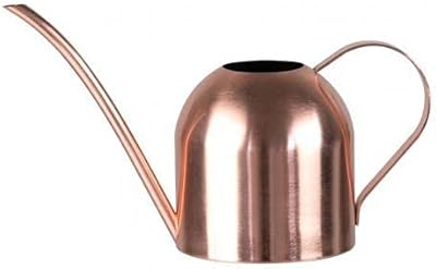 Amazon.com : BLstyle 34oz Brass Watering Can - Small Watering Can for ...