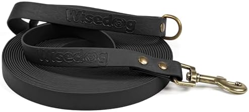 Amazon.com : Wisedog Long Leash for Dogs Outside, 10FT/16FT/33FT/49FT ...