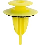 Amazon.com: AMZ Clips And Fasteners 10 Rocker Moulding Clips with ...