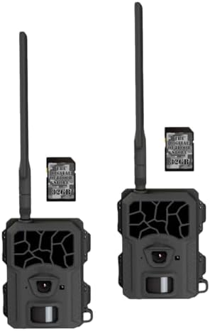 Amazon.com : WiseEye Mini Cam 2 - Digital Outdoor Store Bundle: 2 ...