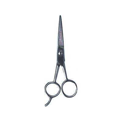 Amazon.com : 5.5" Ice Tempered Stainless Steel Barber Shears : Hair ...