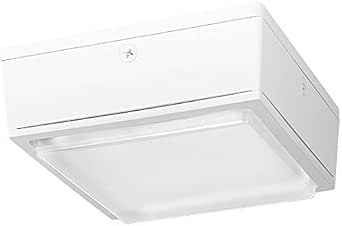RAB LED Canopy Light w/ Drop Lens - 52 Watts, 5000K, 120-277 Volts ...