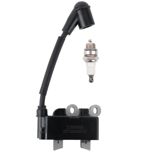 Top 10 Best Weed Wacker 2 Cycle : Reviews & Buying Guide - Katynel