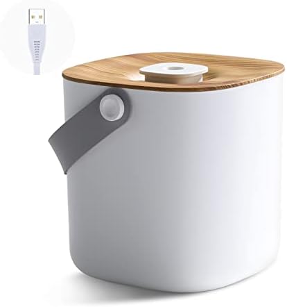 Amazon.com: Portable Mini Humidifier, 500ml Small Cool Mist Humidifier ...