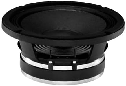 Amazon.com: B&C Speakers 10PE26-8 LF Drivers 10-inch High Efficiency ...