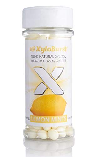 Buy XyloBurst Mints Sugar Free Mint candies with Xylitol, Aspartame ...