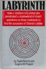 Labyrinth: Amazon.co.uk: Propper, Eugene: 9780670424924: Books