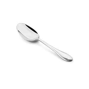 Buy FnS Elan Stainless Steel Mirror Finish Oval Serving Spoon- Silver ...