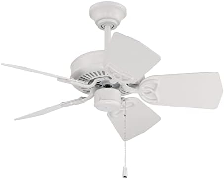 Craftmade 30" Piccolo PI30W5 Indoor/Outdoor Damp Rated Ceiling Fan in ...